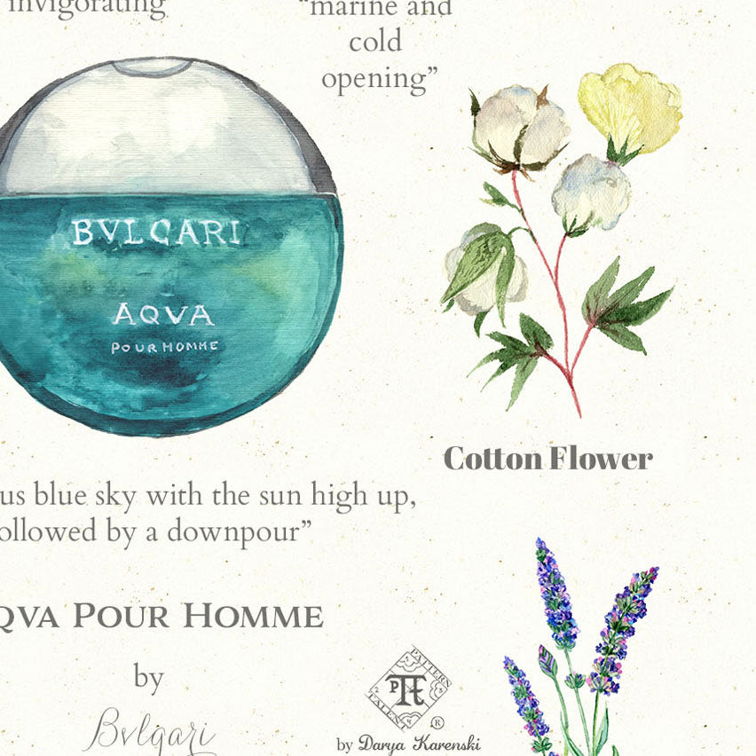 Men's Fragrance Illustration Watercolor Print – patterntalent